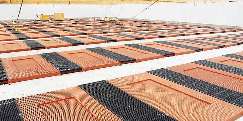 What Livestock Flooring is Best for Pigs? | ADA Enterprises, Inc.